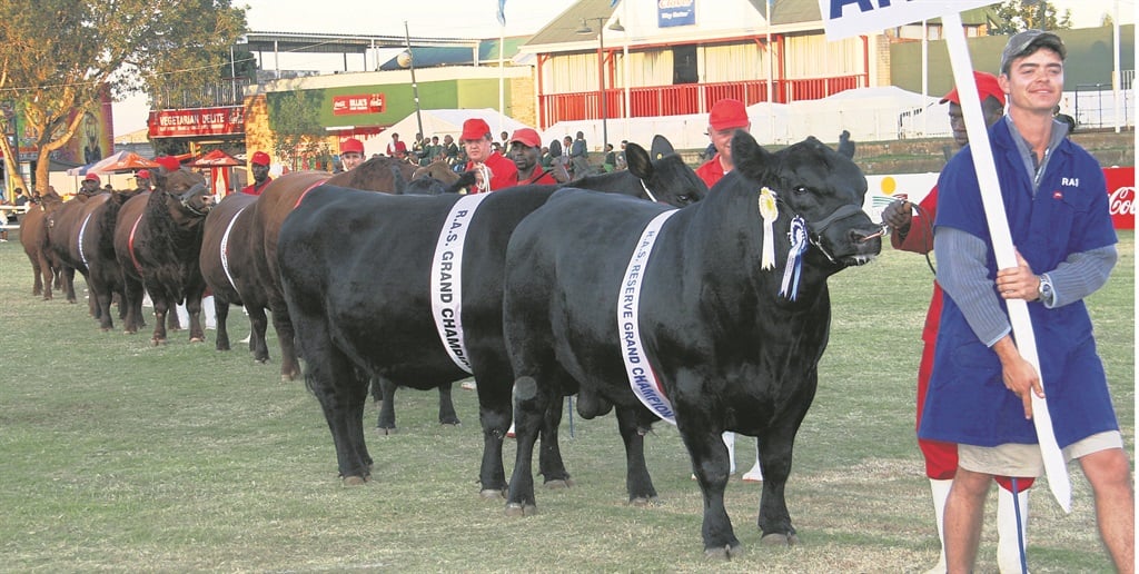 Best sheep, cattle and goats at the Royal Show | News24