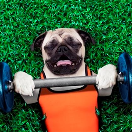 Ease into the gym life | Netwerk24