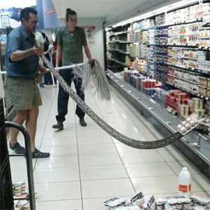 4-metre snake found in supermarket fridge | News24
