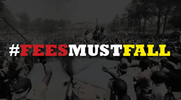 Wits students take protest to the Constitutional Court | News24