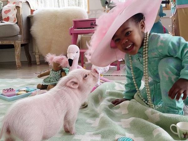 This little girl and her pet pig are adorable; should your child get ...
