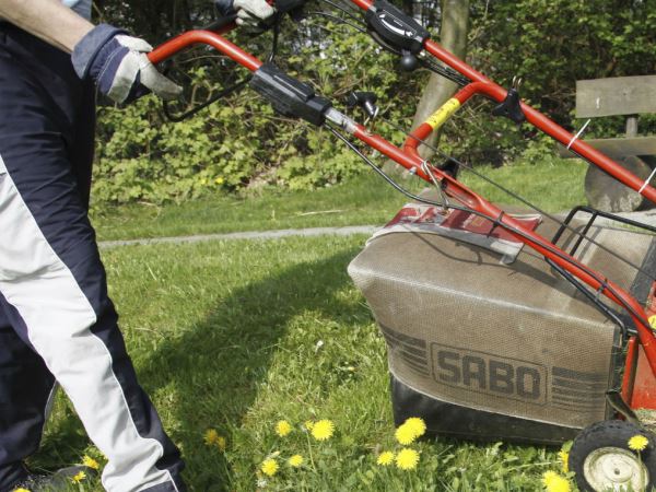 Parents warned over lawn mower-related injuries | News24