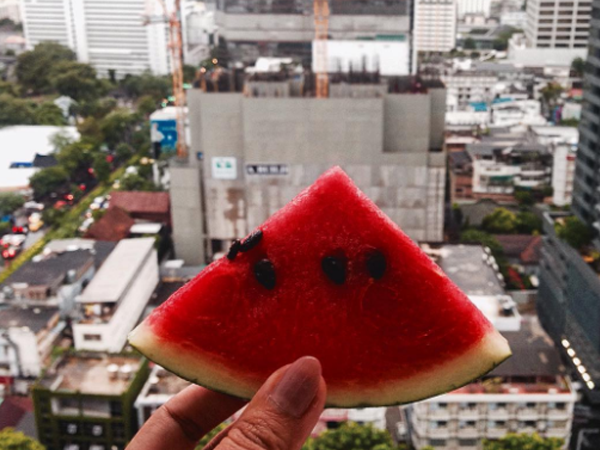 People are 'wearing' watermelons in this juicy new Insta-craze | News24