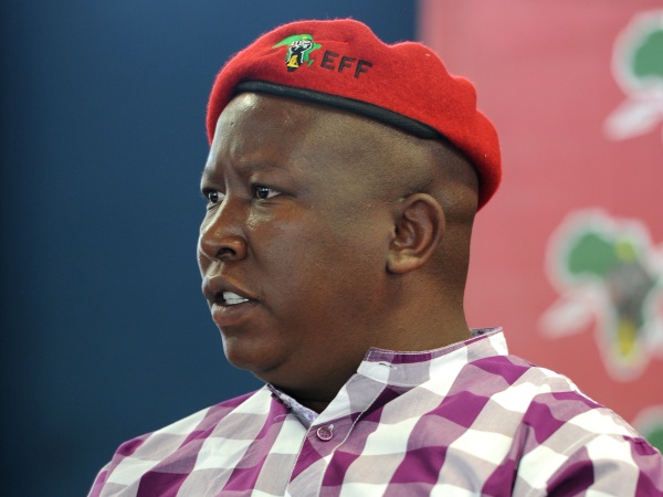 EFF lays complaint against Zille and Zuma | News24