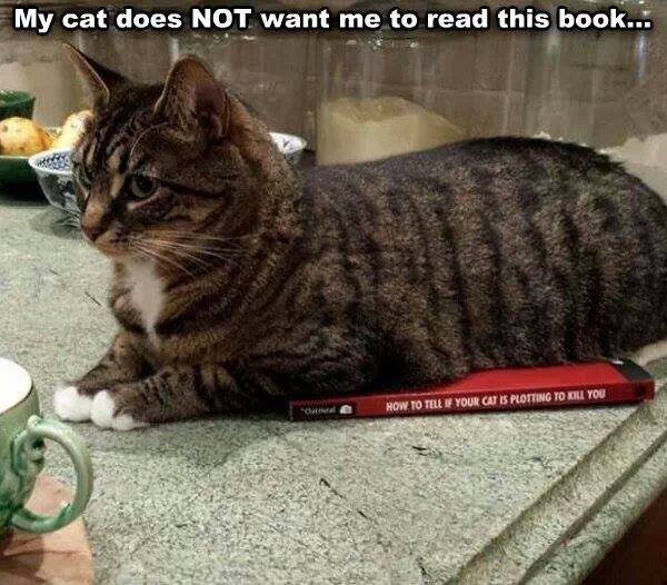 Book end | You