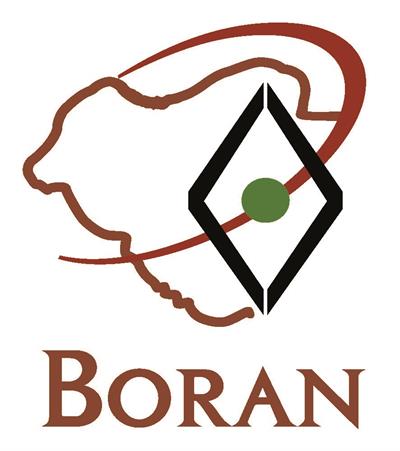 Boran is ’n geharde Afrikaras | Landbou