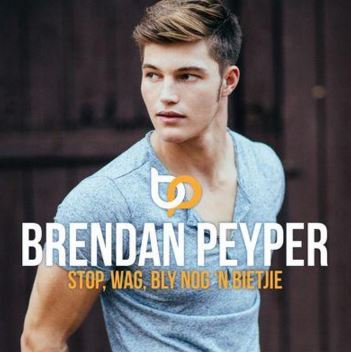 10 dinge wat jy van Brendan Peyper moet weet | Netwerk24