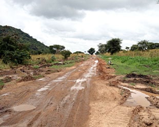 Soedan soek SA boere | Landbou