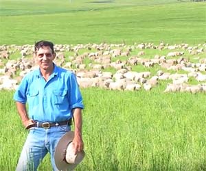 Oz-boer verjong veld met groot welslae | Landbou