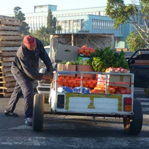Mark-baas breek lansie vir boere | Landbou