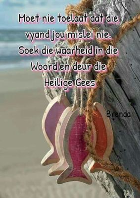 Soek die waarheid in die Woord. | Netwerk24