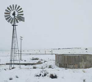 Baie koue winter kom | Landbou
