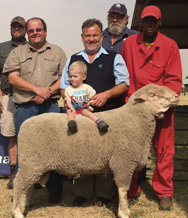 Hoopstad/SA Vleismerino/R15 000 | Landbou