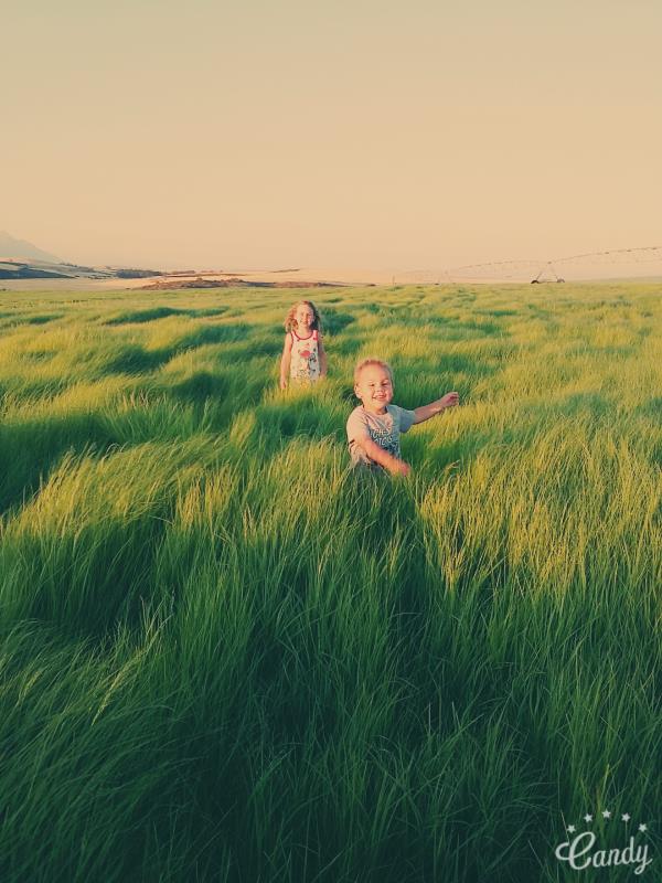 Plaaskinders in die teff | Landbou