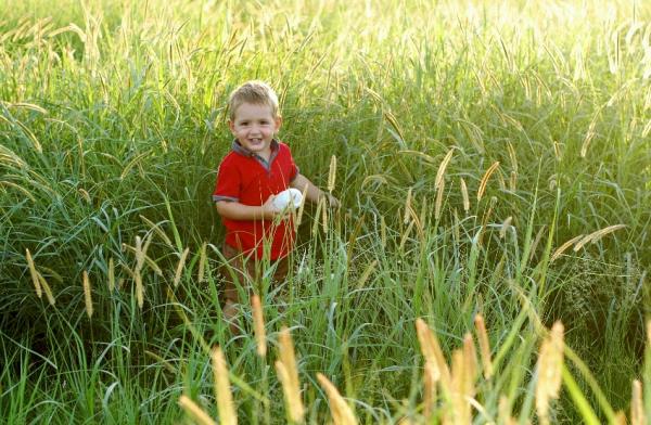 Pret in die lang gras | Landbou