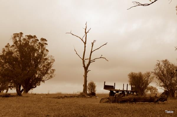 Verlate | Landbou