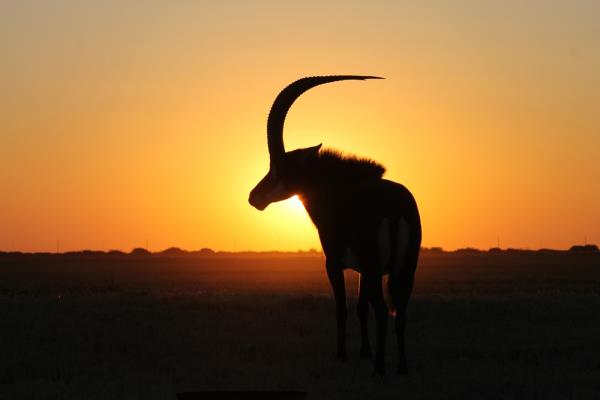 Baas van die plaas | Landbou