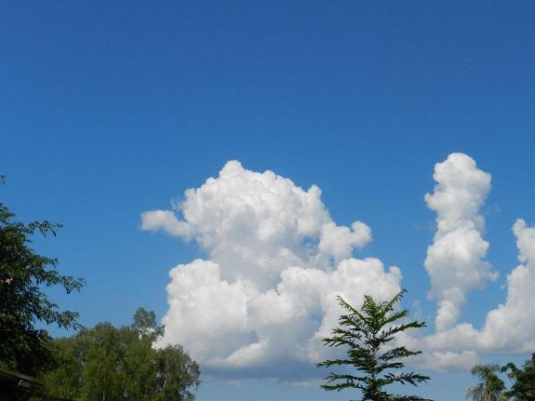 Die Wolk | Landbou
