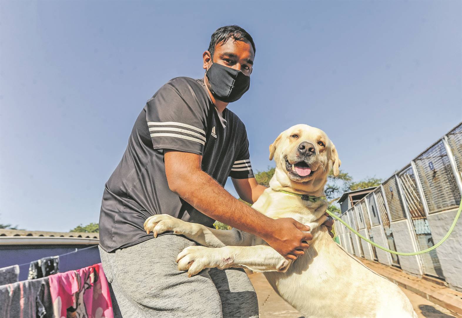 SPCA to the rescue after dogs fall into manhole | News24