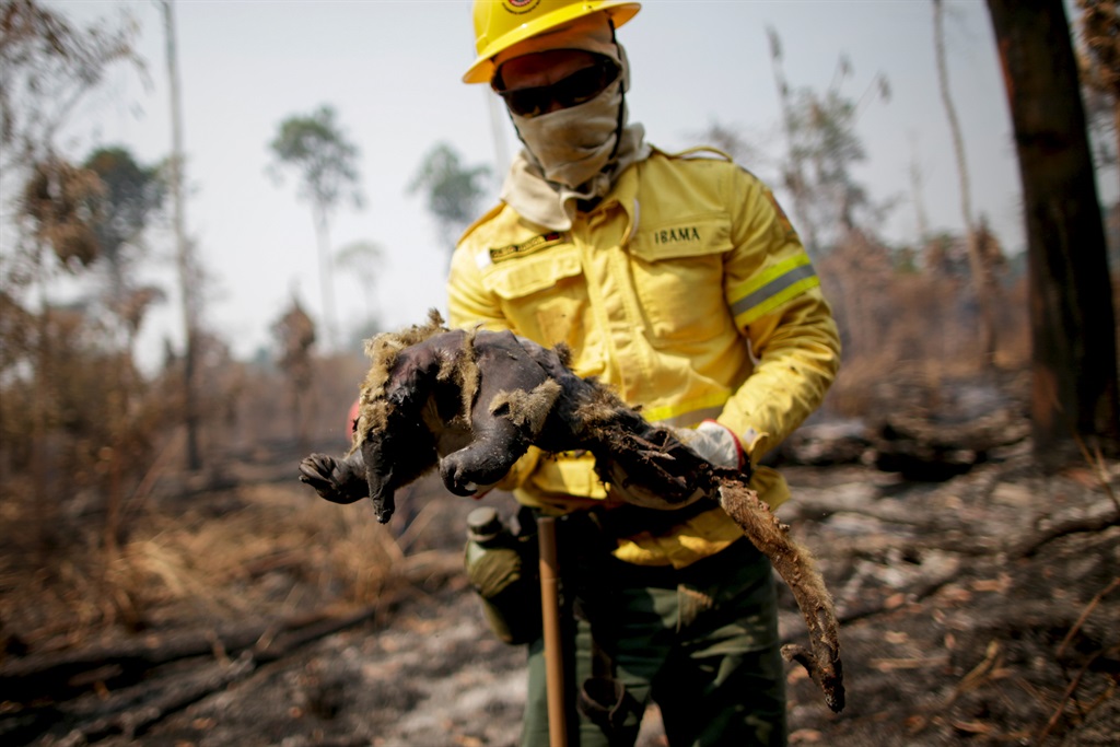In vlamme gehul: Die Amasone se brandslagoffers kring uit