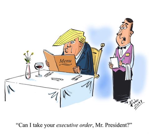 finweek's Top 10 Piker Cartoons in 2017 | News24