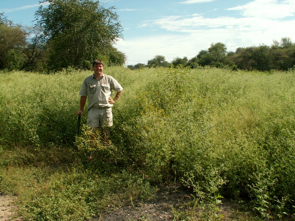 Indringers in bewaringsgebiede | Landbou