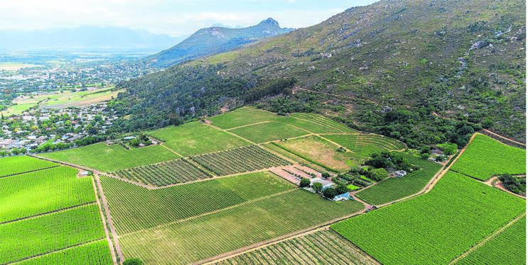 Pearl Mountain onder die hamer | Netwerk24