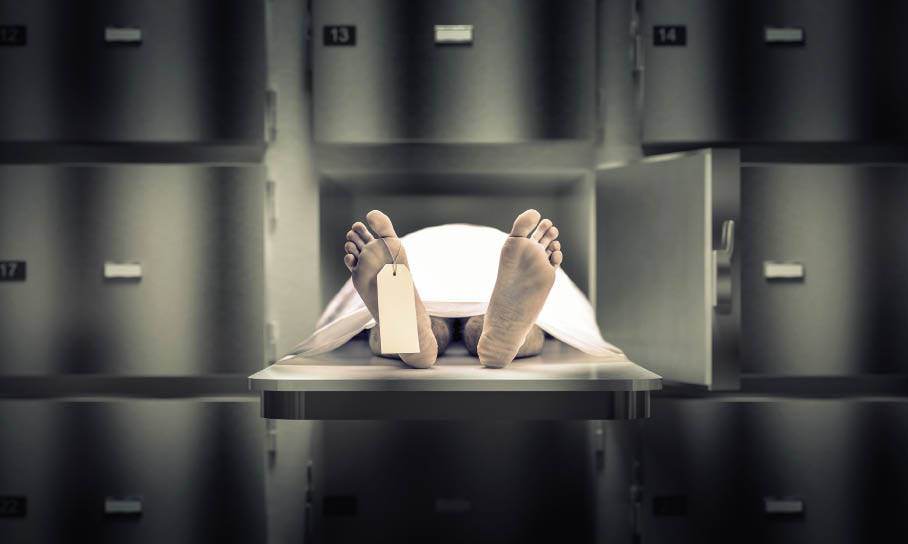 Forensiese patoloog: As lyke leidrade gee | Netwerk24