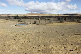 Kampdrade en veldbestuur sy droogteversekering | Landbou