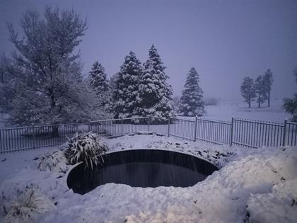 SEE | September snow shuts busy Eastern Cape mountain pass | News24