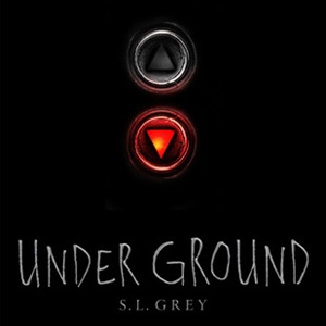 Book review: Under Ground by S.L. Grey | News24