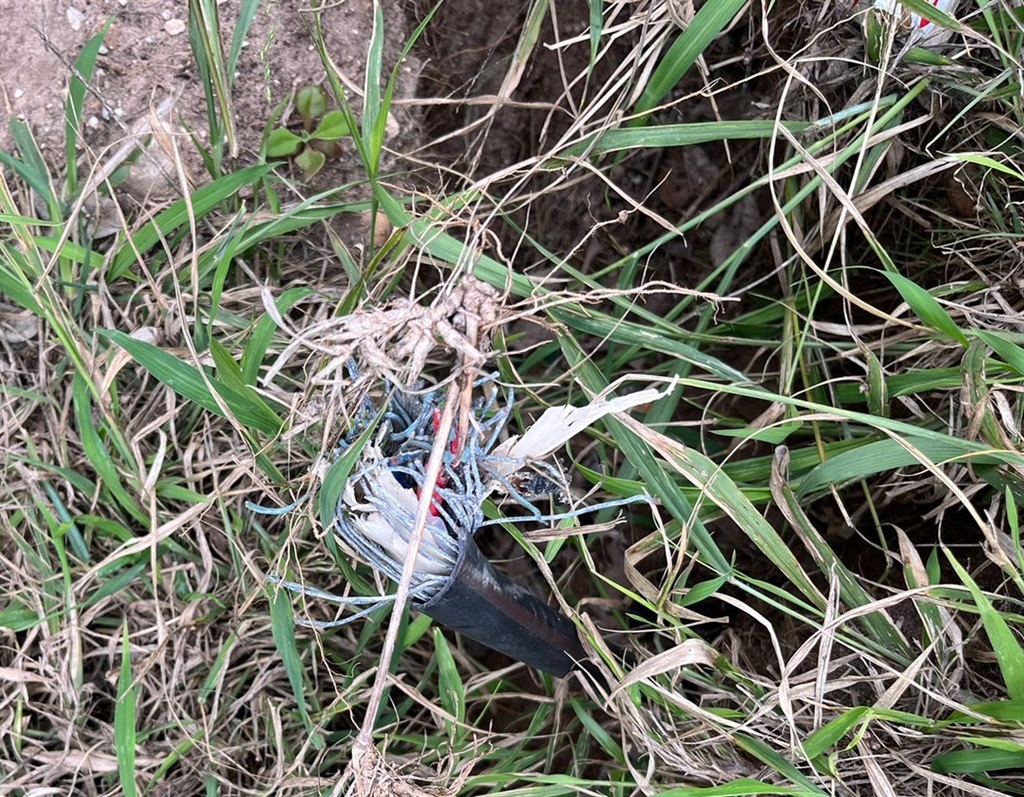 Cable thief caught in the act on busy N2 | News24