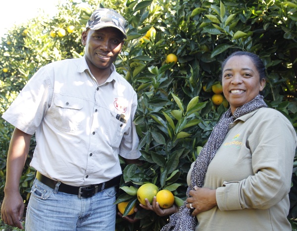 Bemagtigingsplaas is Oos-Kaap se top-lemoenprodusent | Landbou