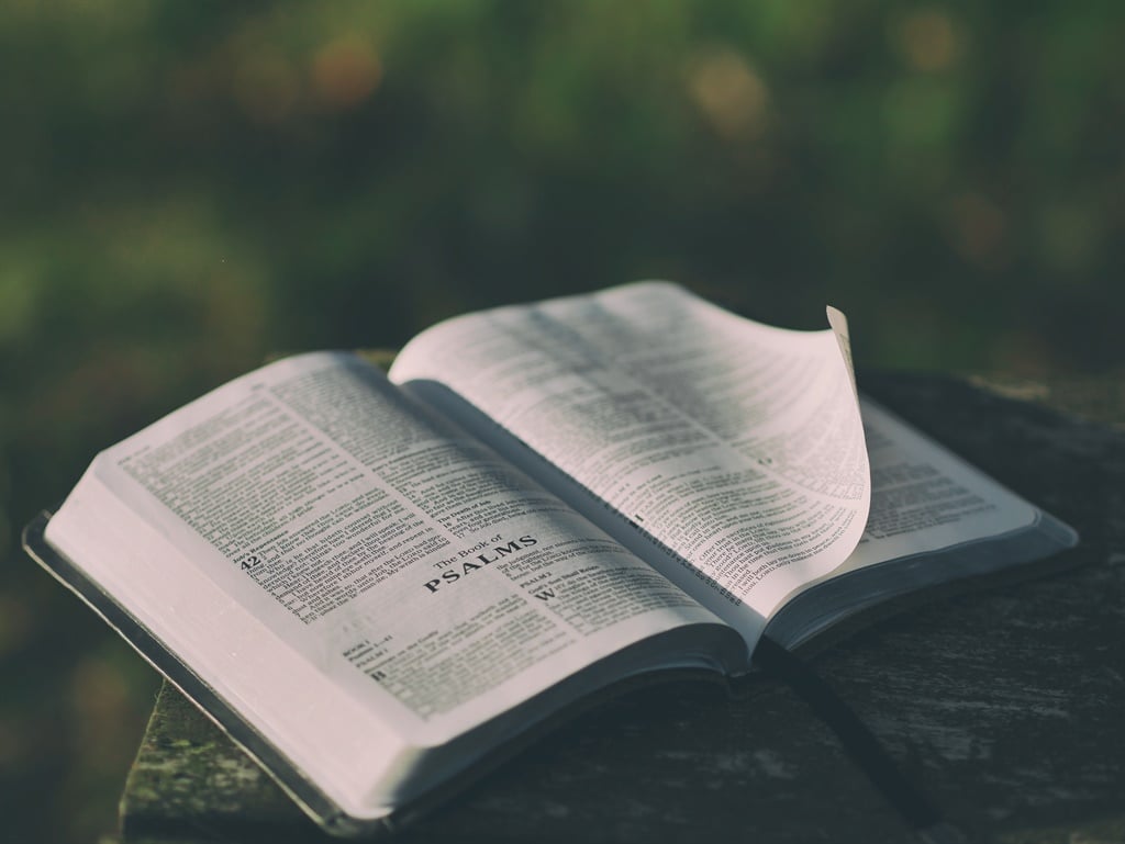 Lees beter, die Bybel ook! | Netwerk24