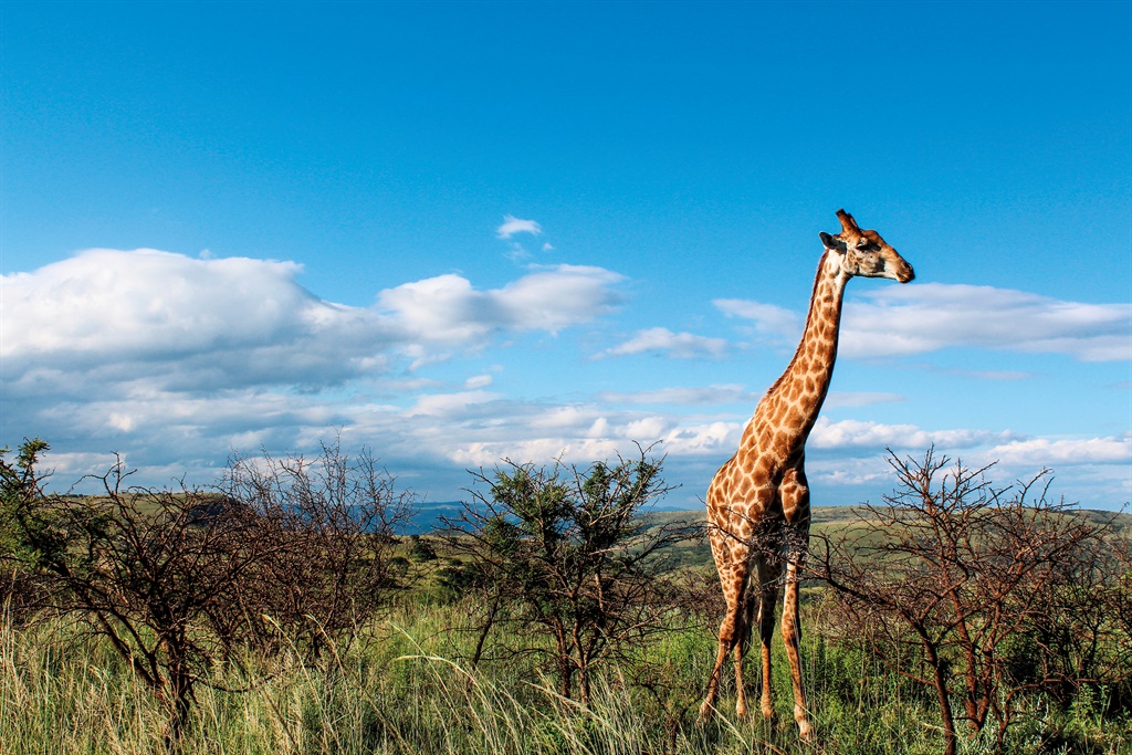 Kom saam op ’n Zambië-Malawi-avontuur | Netwerk24