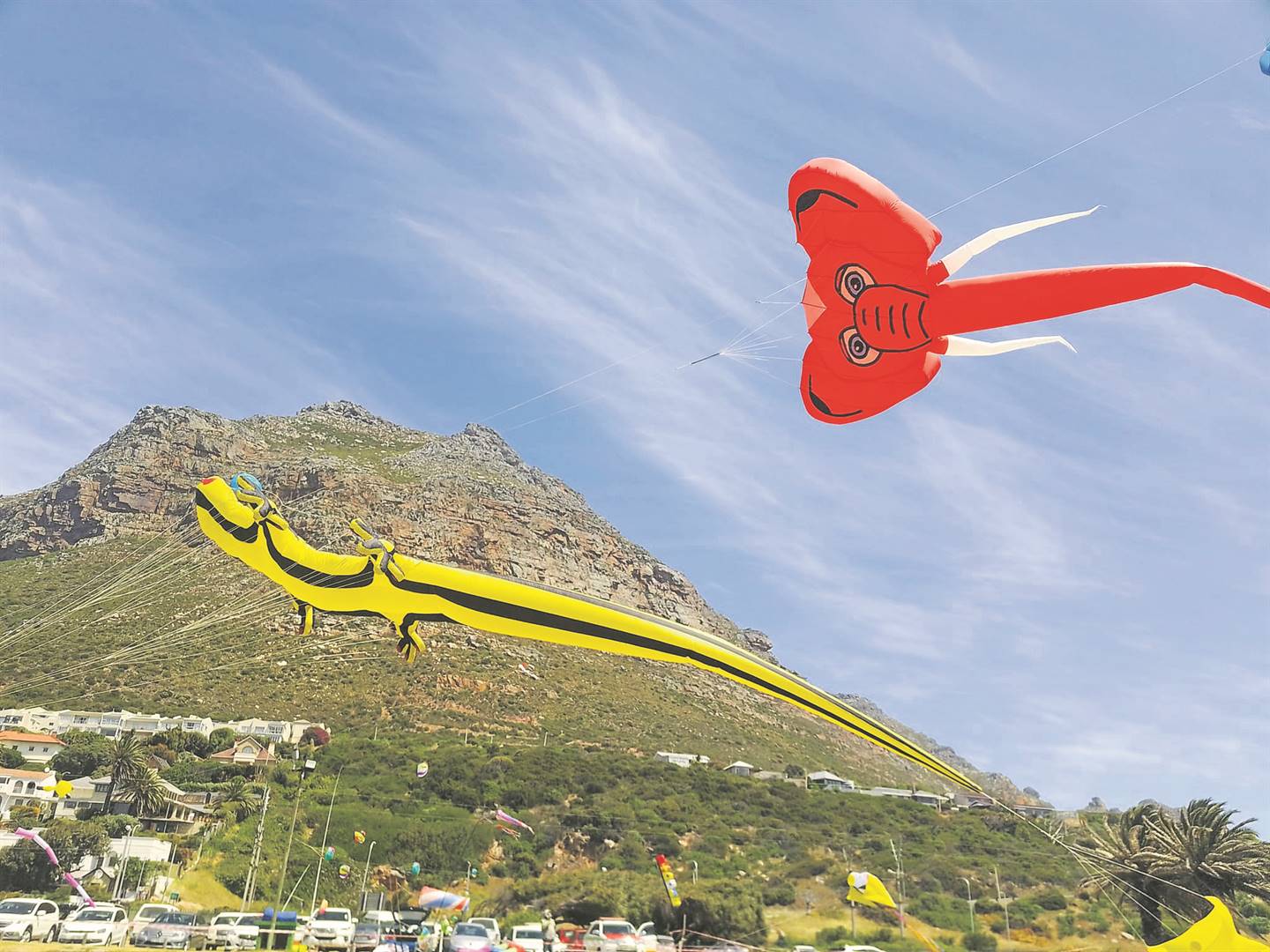 PICS | Colourful kites light sky at festival in Zandvlei | News24