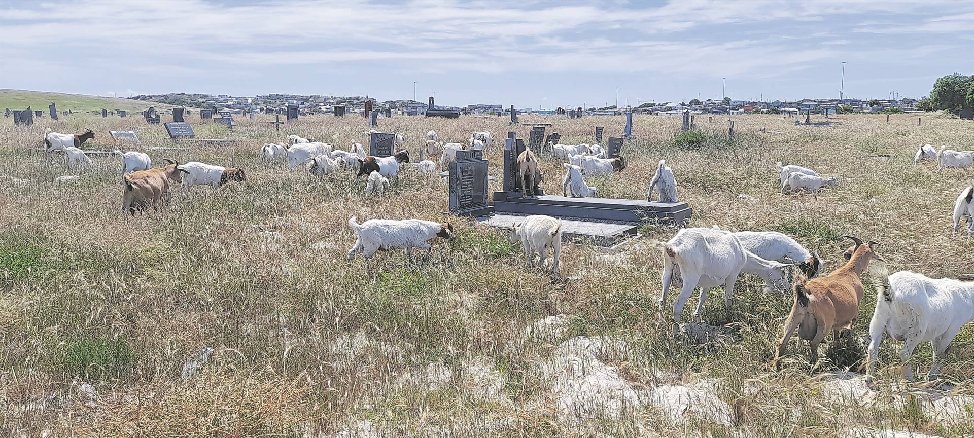 RESIDENTS: Kak on graves is disrespect to ancestors | Daily Sun