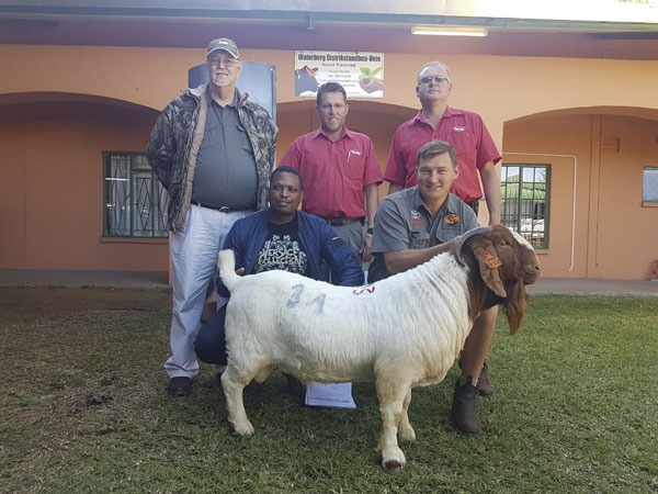 Bela-Bela / Boerbok / R35 000 | Landbou