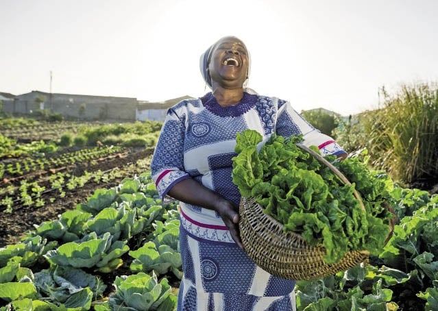 Vir skooltake: Wat is bestaansboerdery? | Netwerk24