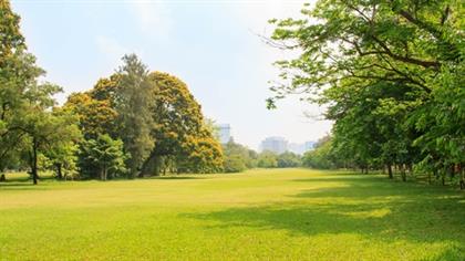 Can green, open spaces make you healthier? – WeCare