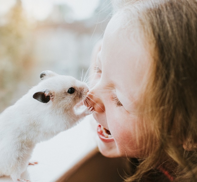 21 Low Maintenance Pets That Still Give All The Love, 60% OFF