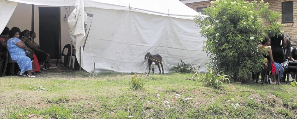 FUNERAL CHAOS! | Daily Sun
