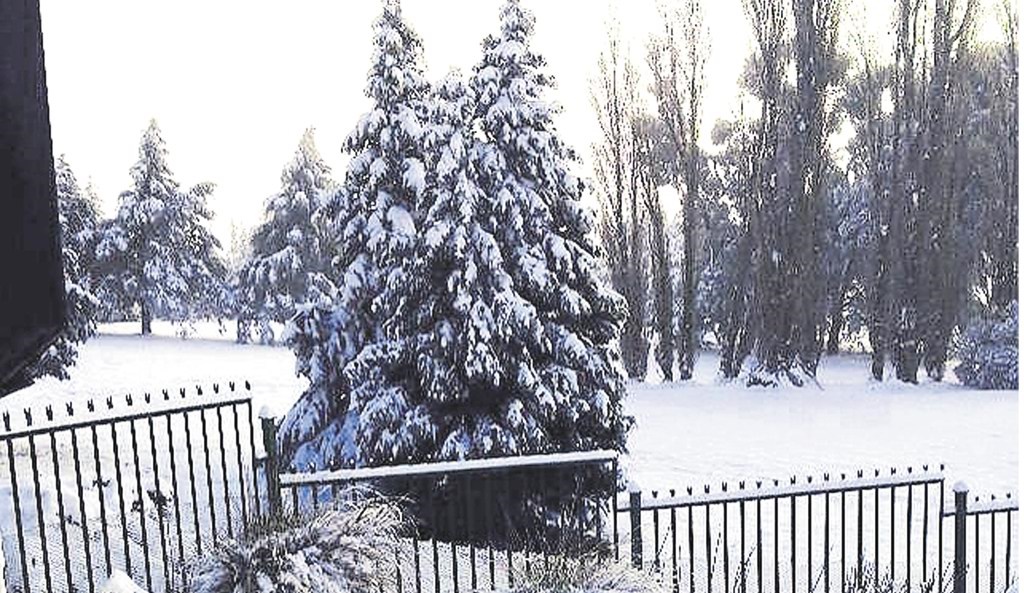 White winter! | Daily Sun