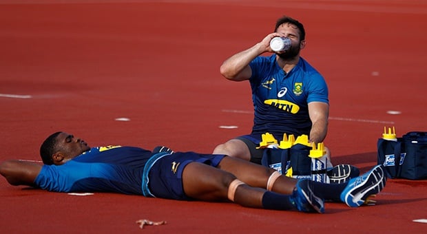 6 000 fans watch Boks train in sweltering heat | News24
