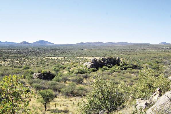 VF Plus: Wildsplaas-aanbod lyk na nog ’n jakkalsdraai | Landbou