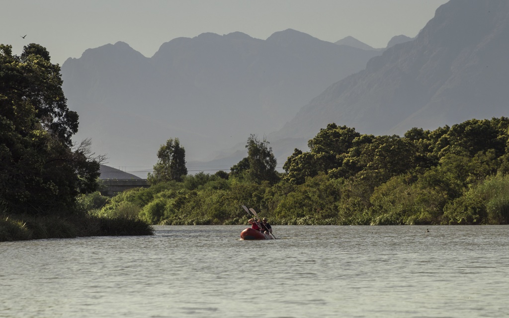 Langs die Breërivier met vlooie, miskruiers en ’n mammoet | Netwerk24