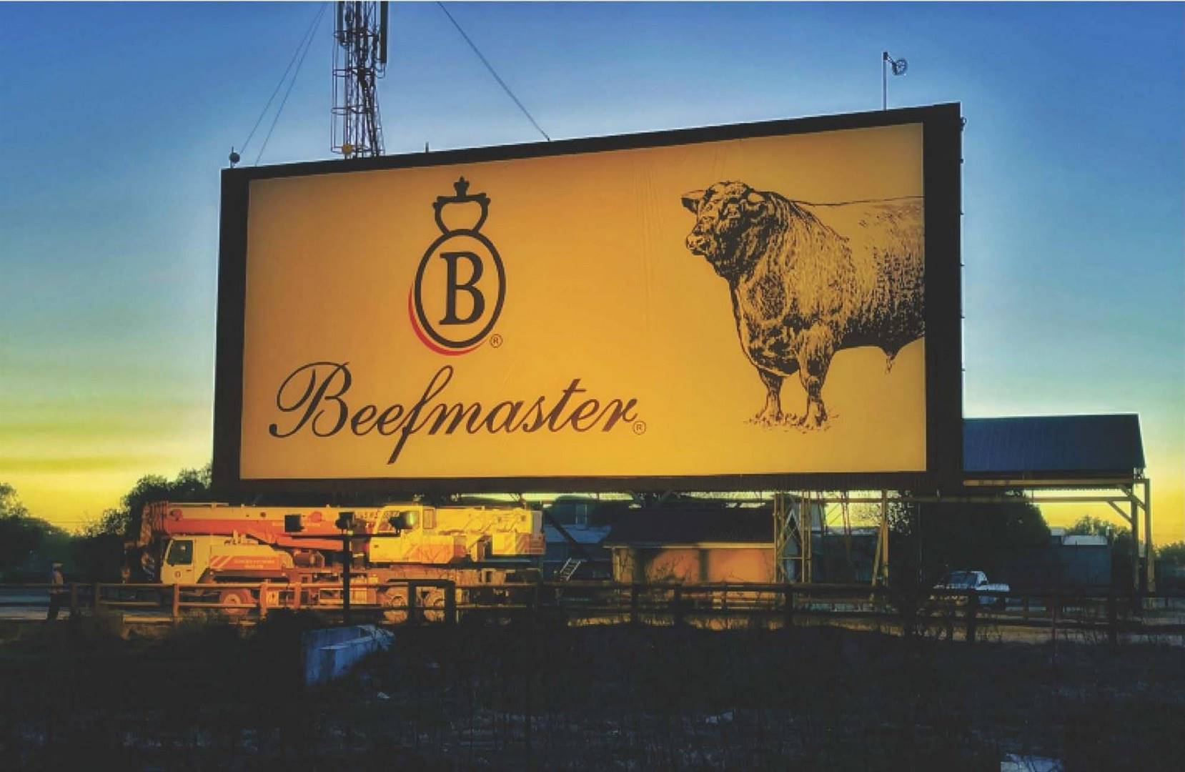 Beesvleis: Beefmaster sal poog om pryse op hok te hou | Netwerk24