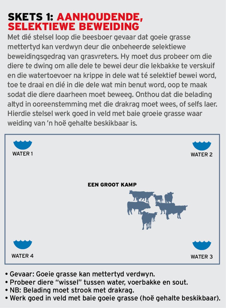 Weistelsels sleutel tot vleisproduksie | Landbou