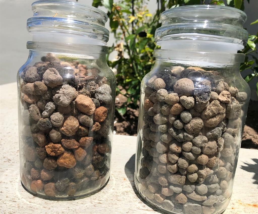 Korrels bevorder wortelgroei, bespaar water | Landbou