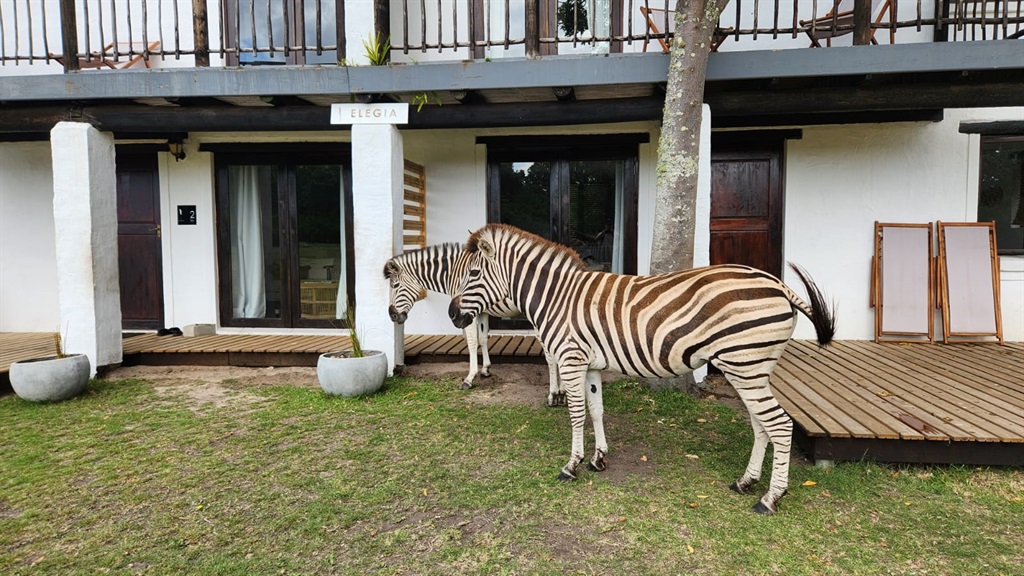 PHOTOS | Stunning pics from upcoming 7de Laan 'scenic episodes ...